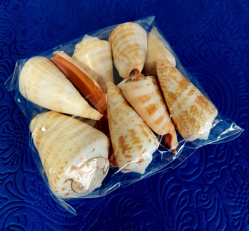 Aje Shaluga Sopera Tinaja Vessel Olocun Ifa Orisha Olokum Orisa Lucumi ...