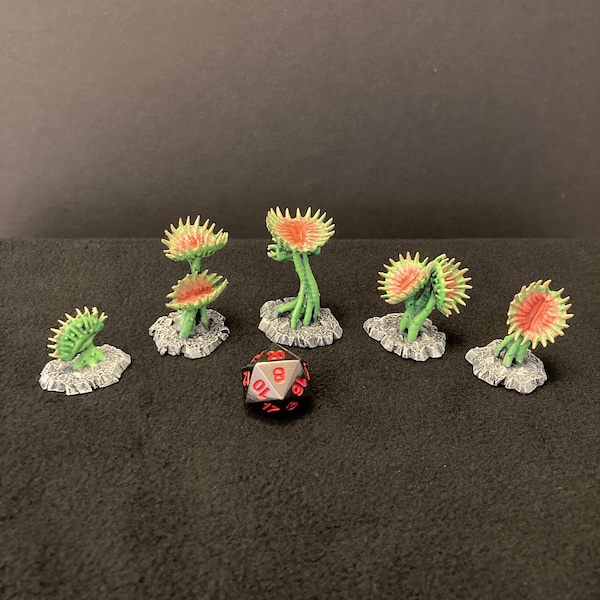 Carnivorous Plant Dnd - Etsy