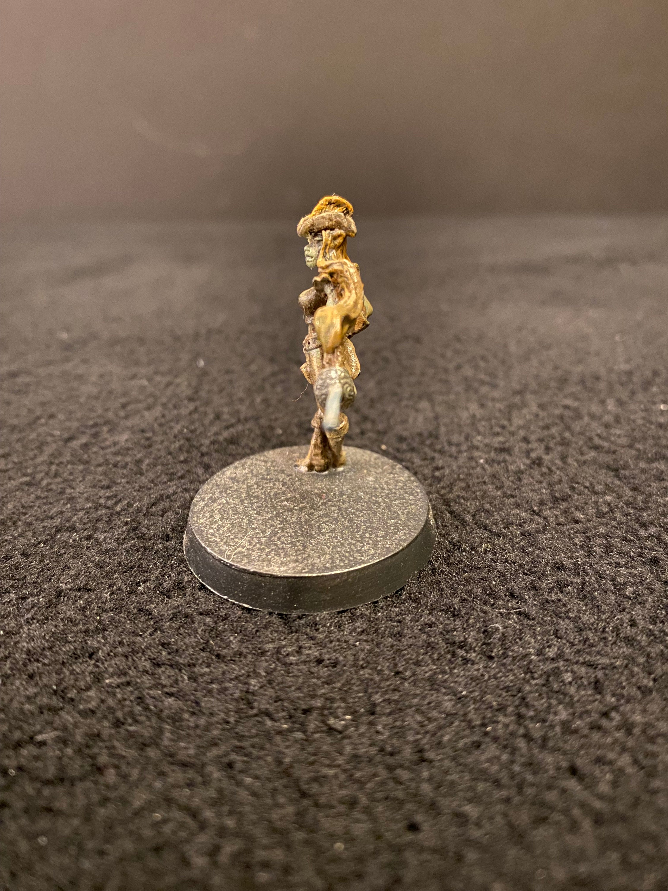 Lauren Silversail Female Elf Pirate by Reaper / Painted 28mm Miniature ...