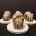 Pack Yak Lot of 3 for Wilds of Wintertide by EC3D / Painted 28mm ...
