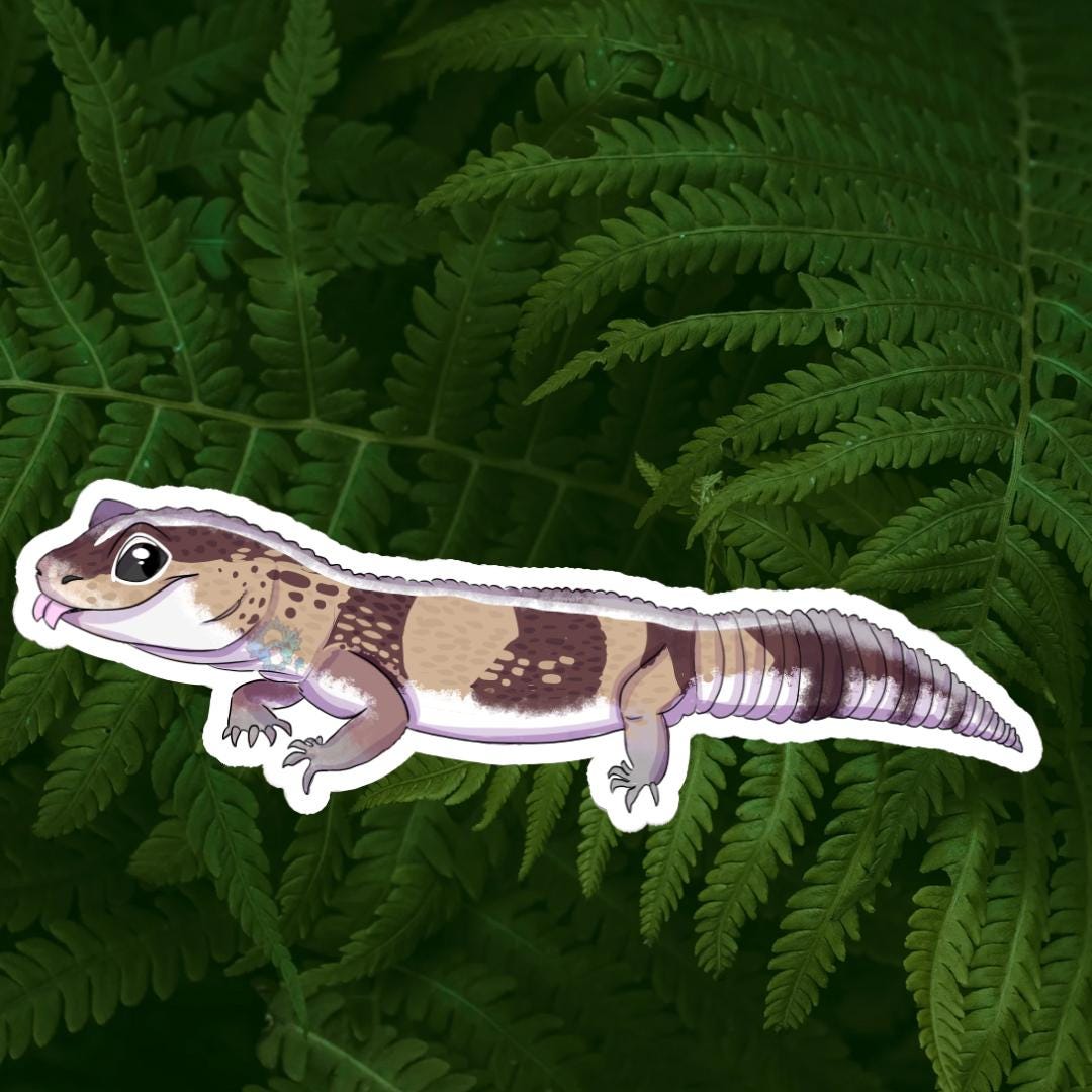 African Fat Tail Gecko, Reptile Paper Sticker, Made to Order, Tank ...