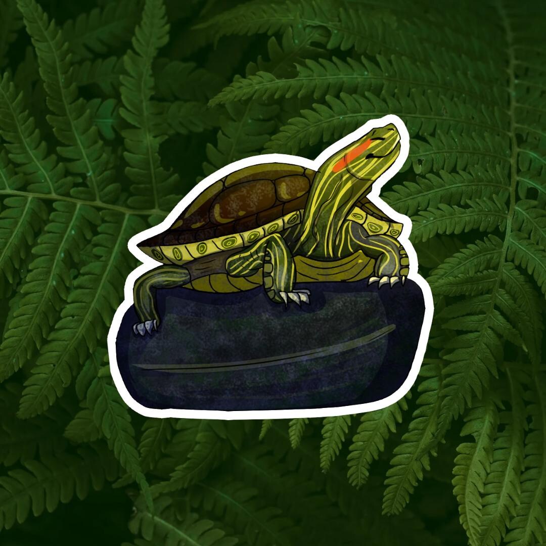 Red Eared Slider Turtle, Reptile Paper Sticker, Made to Order, Tank ...