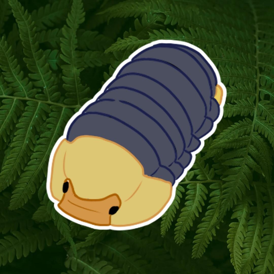 Rubber Ducky Isopod, Crustacean, "bug", Paper Sticker, Made to Order - Etsy
