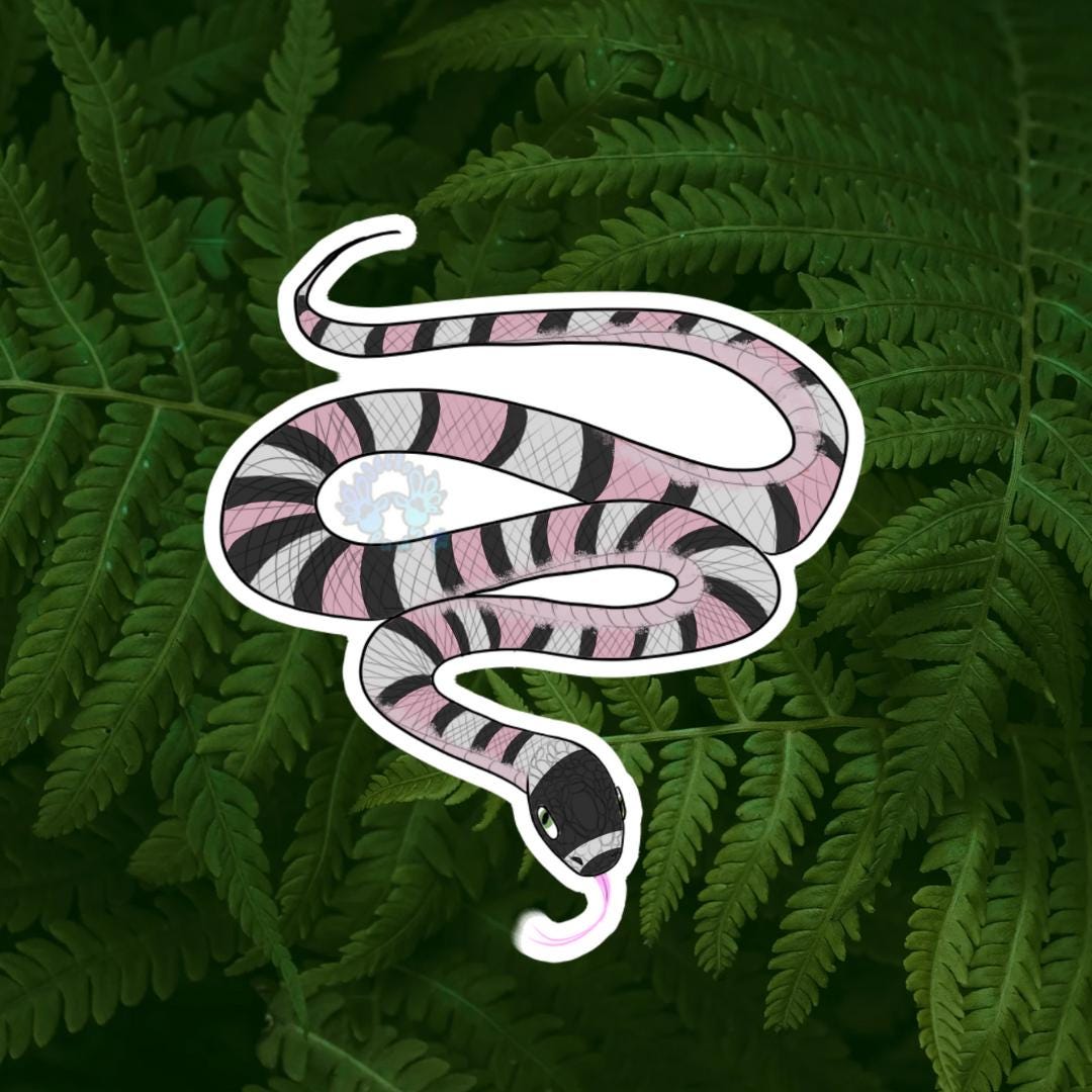 Ghost Honduran Milk Snake, Reptile Paper Sticker, Made to Order, Tank ...