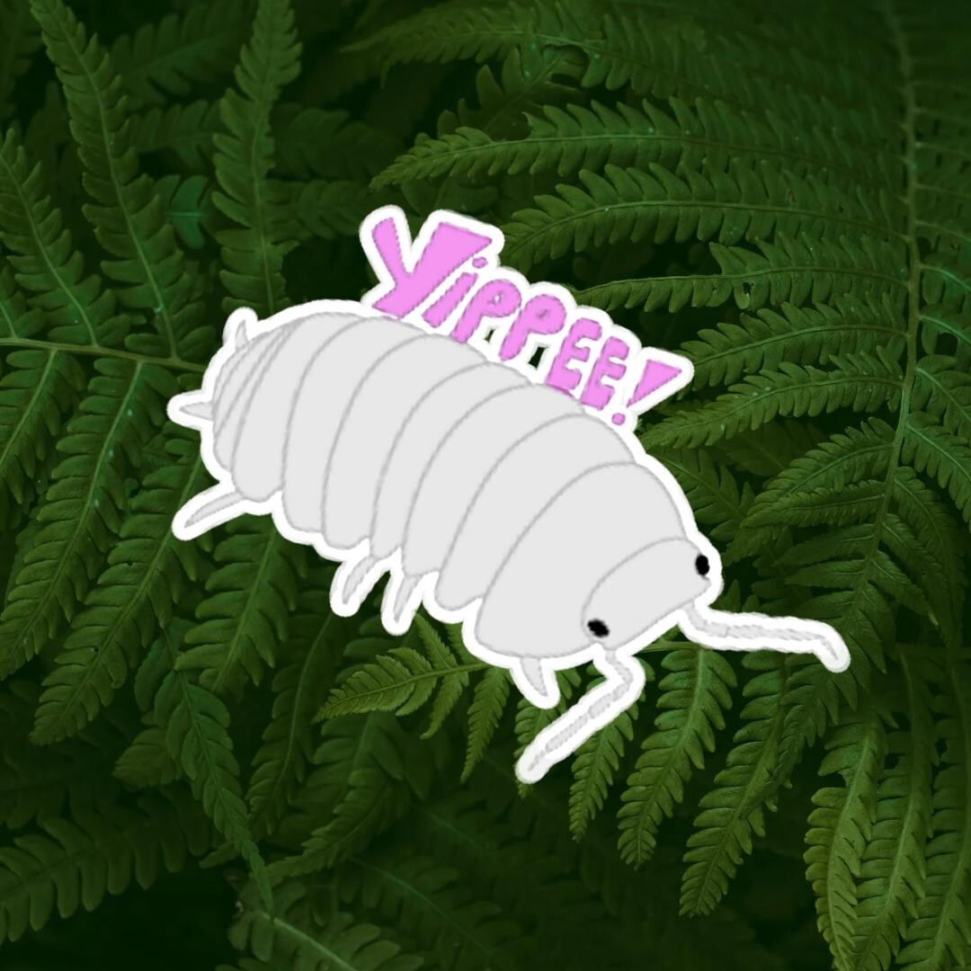 Dwarf White Isopod, Crustacean, "bug", Paper Sticker, Made to Order - Etsy