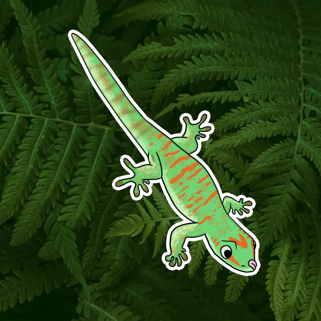 Giant Madagascar Day Gecko, Reptile Paper Sticker, Made to Order, Tank ...