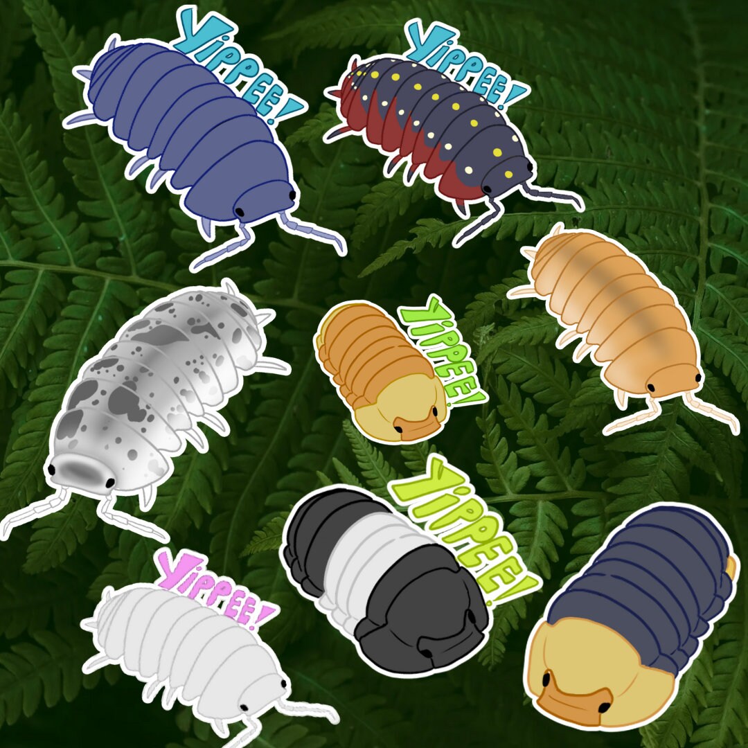 Made-to-order Isopod Sticker Pack, Rubber Duckie Isopod - Etsy