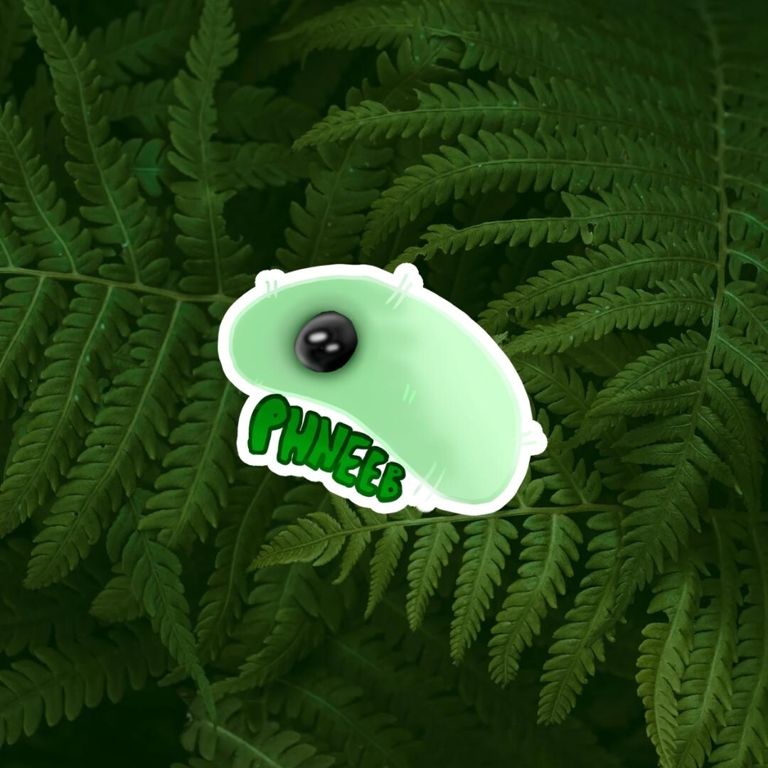 Phneeb, Meme, Funny, Cursed Image, Paper Sticker, Made to Order - Etsy