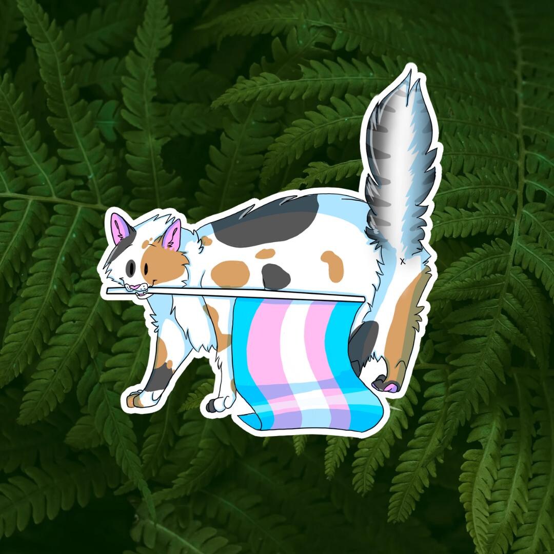 Trans Tabby Cat, Pride, LGBTQ+, Transsexual, Paper Sticker, Made to ...