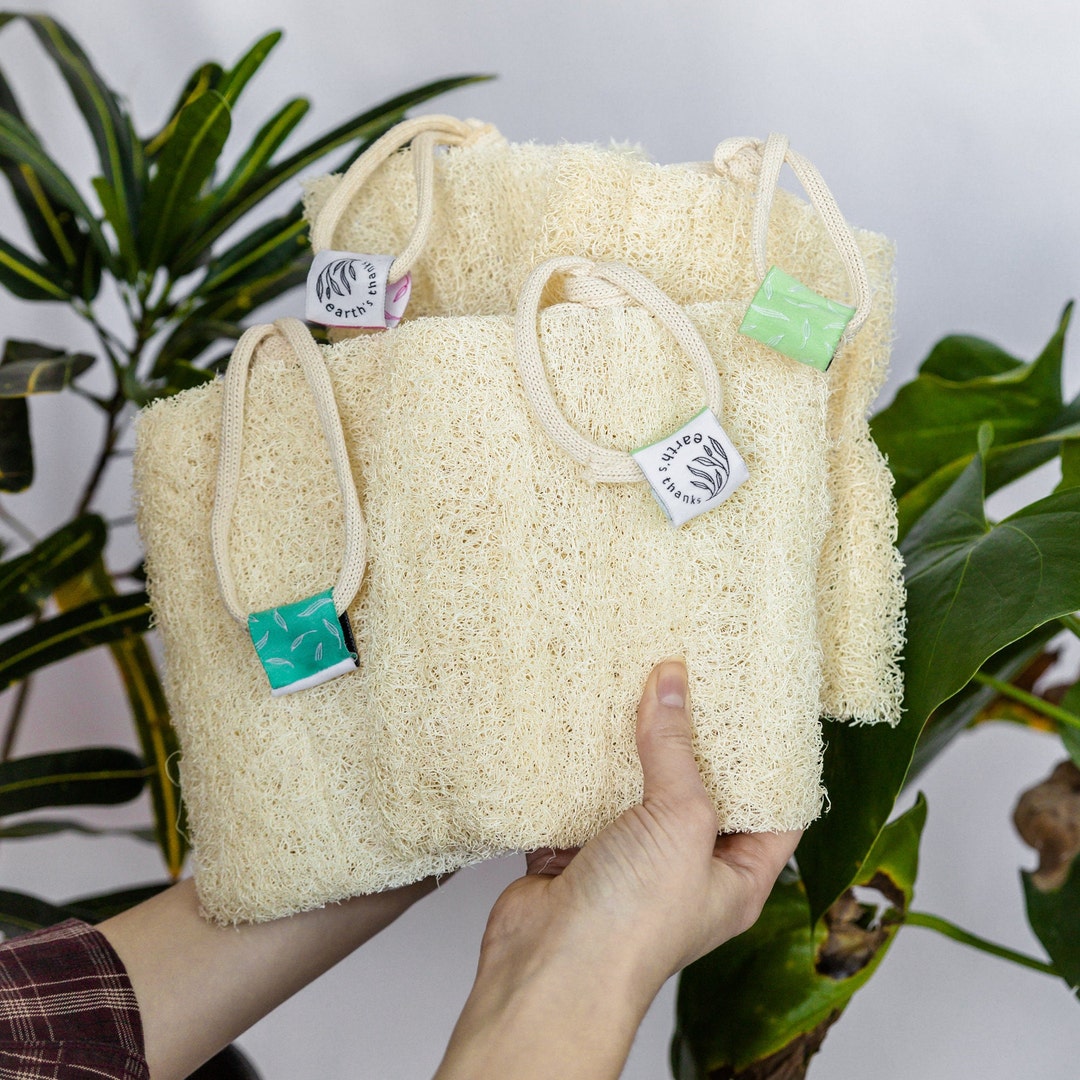 Natural Egyptian Loofah pack of 4 Zero Waste Lufa Eco-friendly Sponge ...