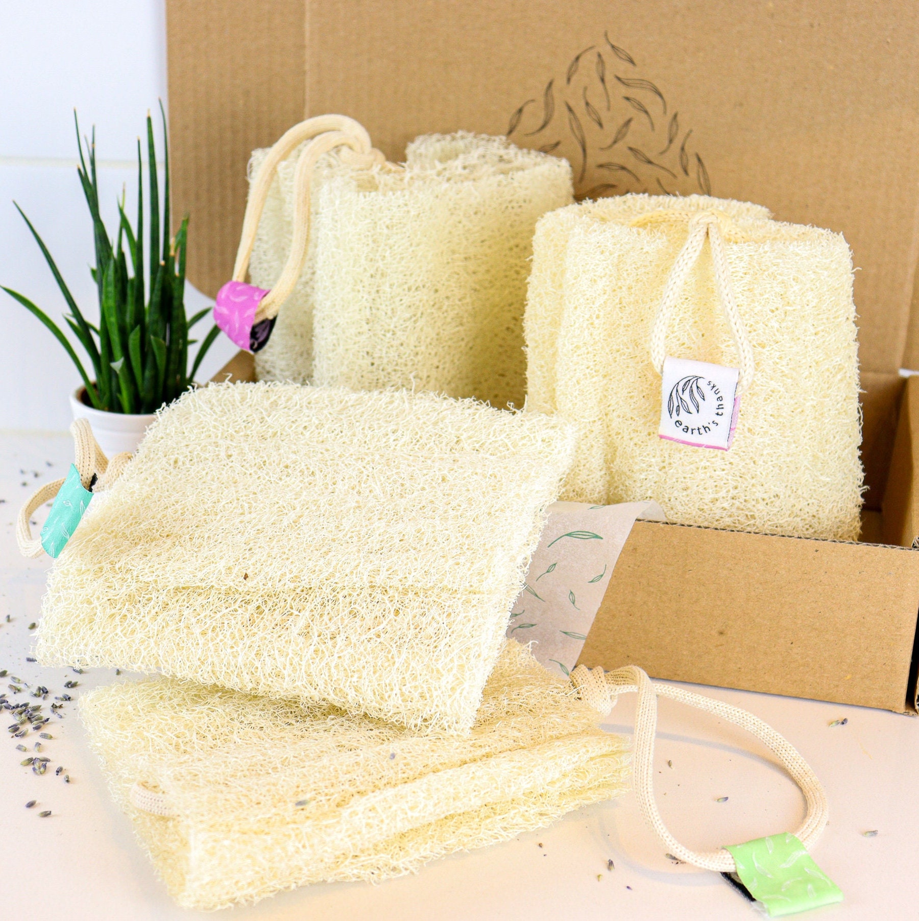 Natural Egyptian Loofah pack of 4 Zero Waste Excellent | Etsy