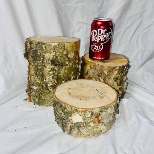 Rustic Wood Log Stumps Set of 4 Diameter 3 to 4 - Etsy
