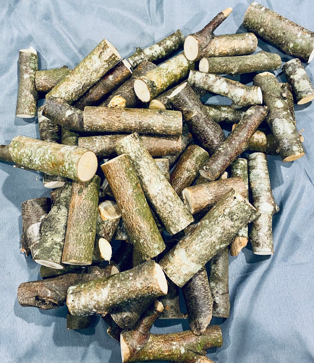 Mini Birch Tree Logs - Bulk - Over 25 Pieces - Etsy