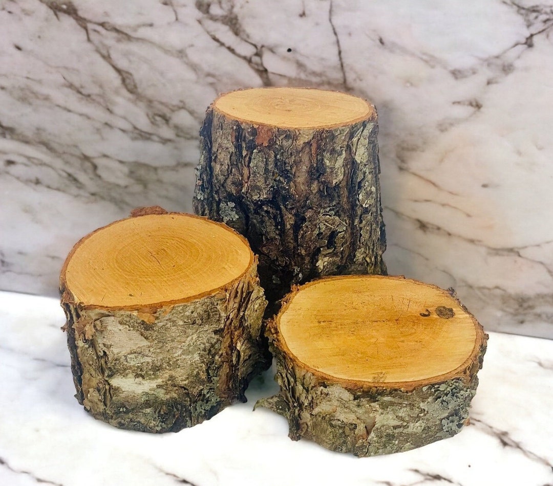 Birch Wood Log Stumps: Rustic Wedding Table Centerpiece, Set of 3 - Etsy