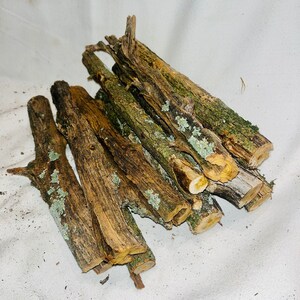 Small Osage Orange Logs - Set of 10 - Wood Sticks/logs -8” Length ...