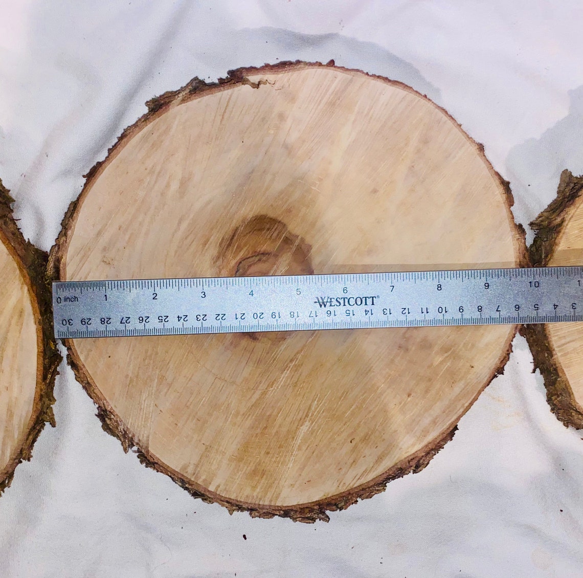 10 Birch Tree Slice Large Tree Slice Rustic Wood Cake - Etsy