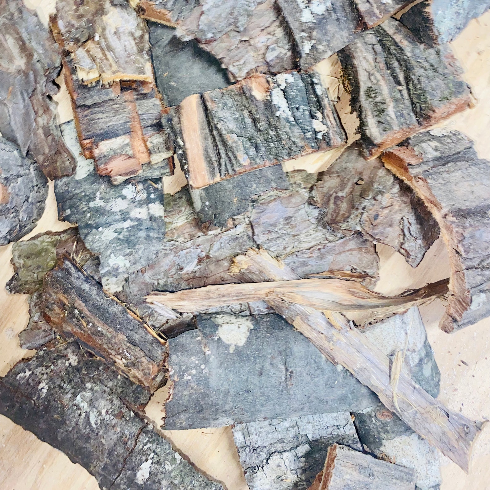 Natural Tree Bark 10 Ounces All Natural Tree Bark Pieces | Etsy