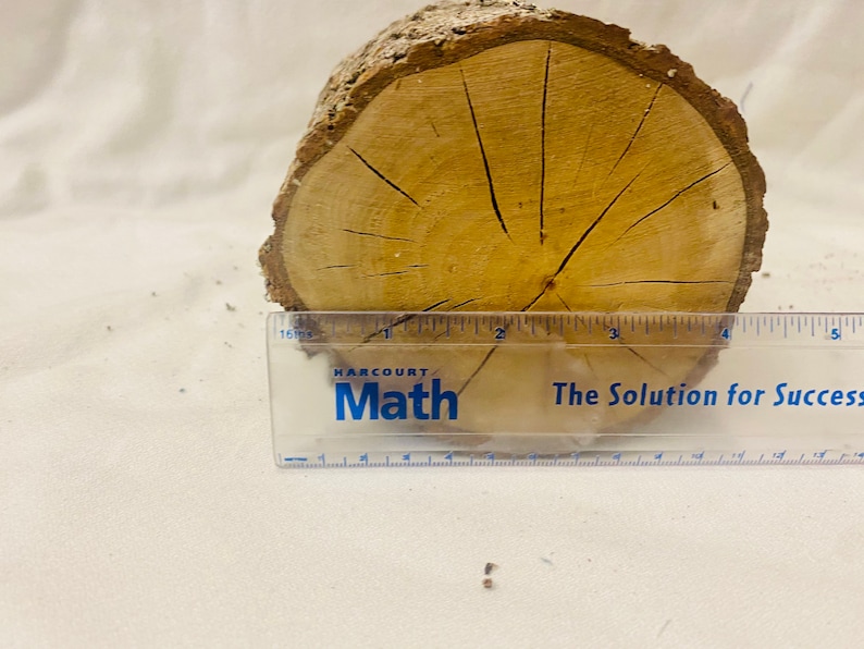 Rustic Wood Log Stumps Set of 3 With 3-4 Diameter Rustic - Etsy