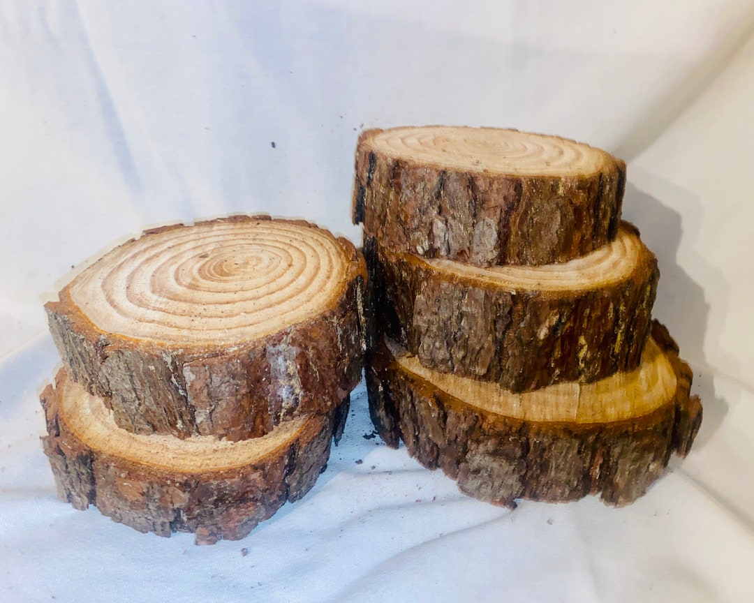 Pine Wood Slice - 5 1/2” Diameter- Pine Wedding Slice - Cake/cupcake ...