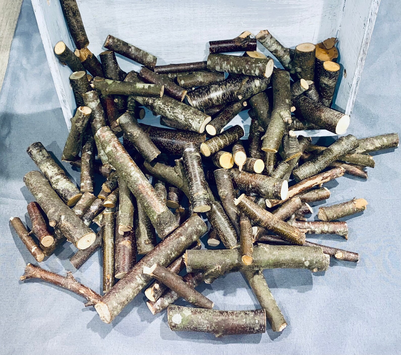 Birch Tree Sticks/branches Minis 100 Pieces Jar Filler - Etsy