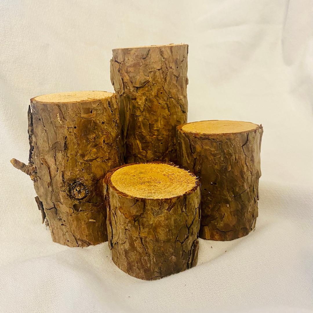 Rustic Pine Wood Log Stumps: Set of 4, Natural Wood Decorations - Etsy