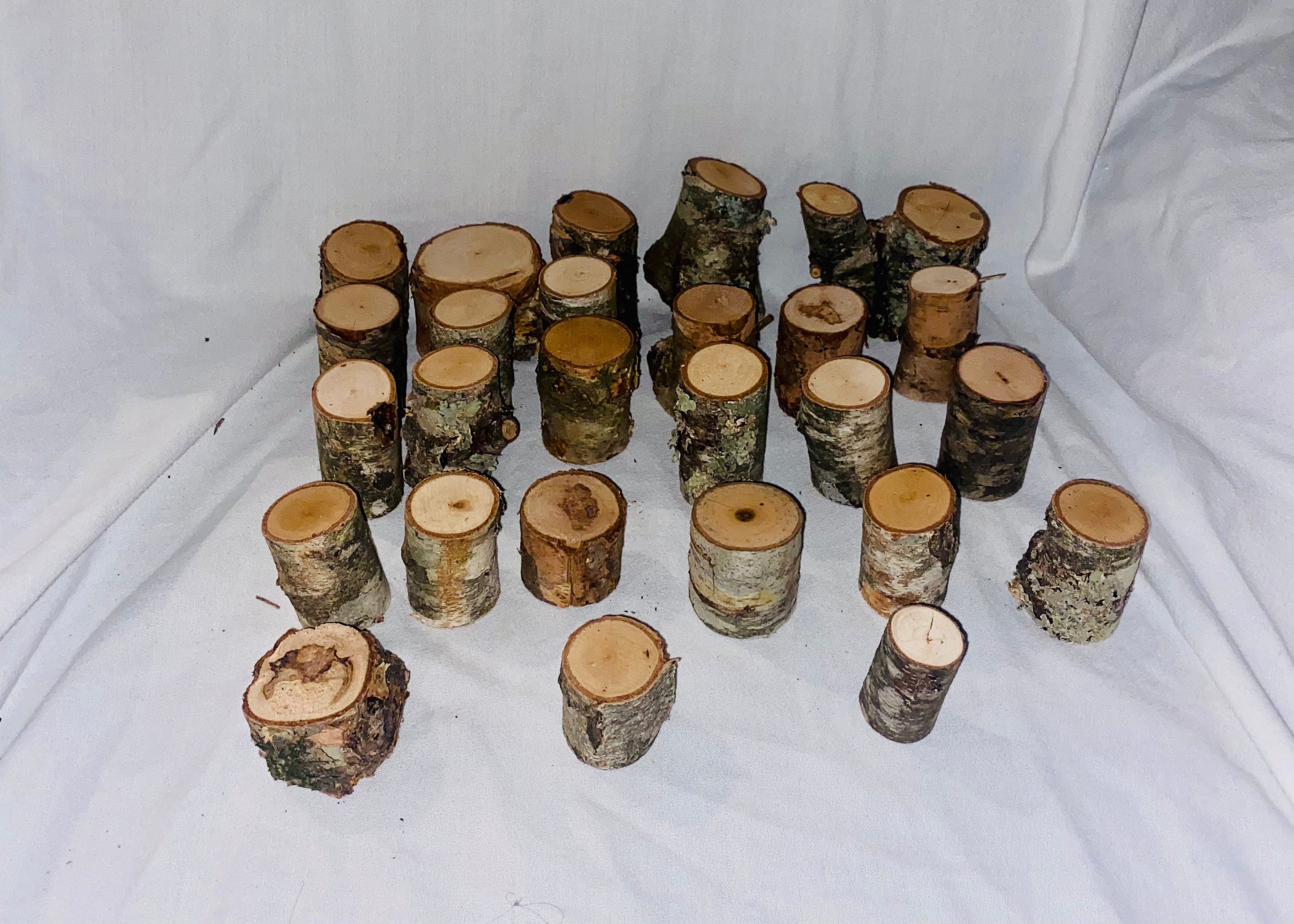 Birch Log Pieces 25 Count Assorted Sizes Small Birch - Etsy