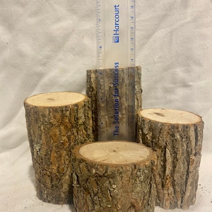 Rustic Wood Log Stumps - Set of 4 - Rustic Wood Decorations- Rustic ...