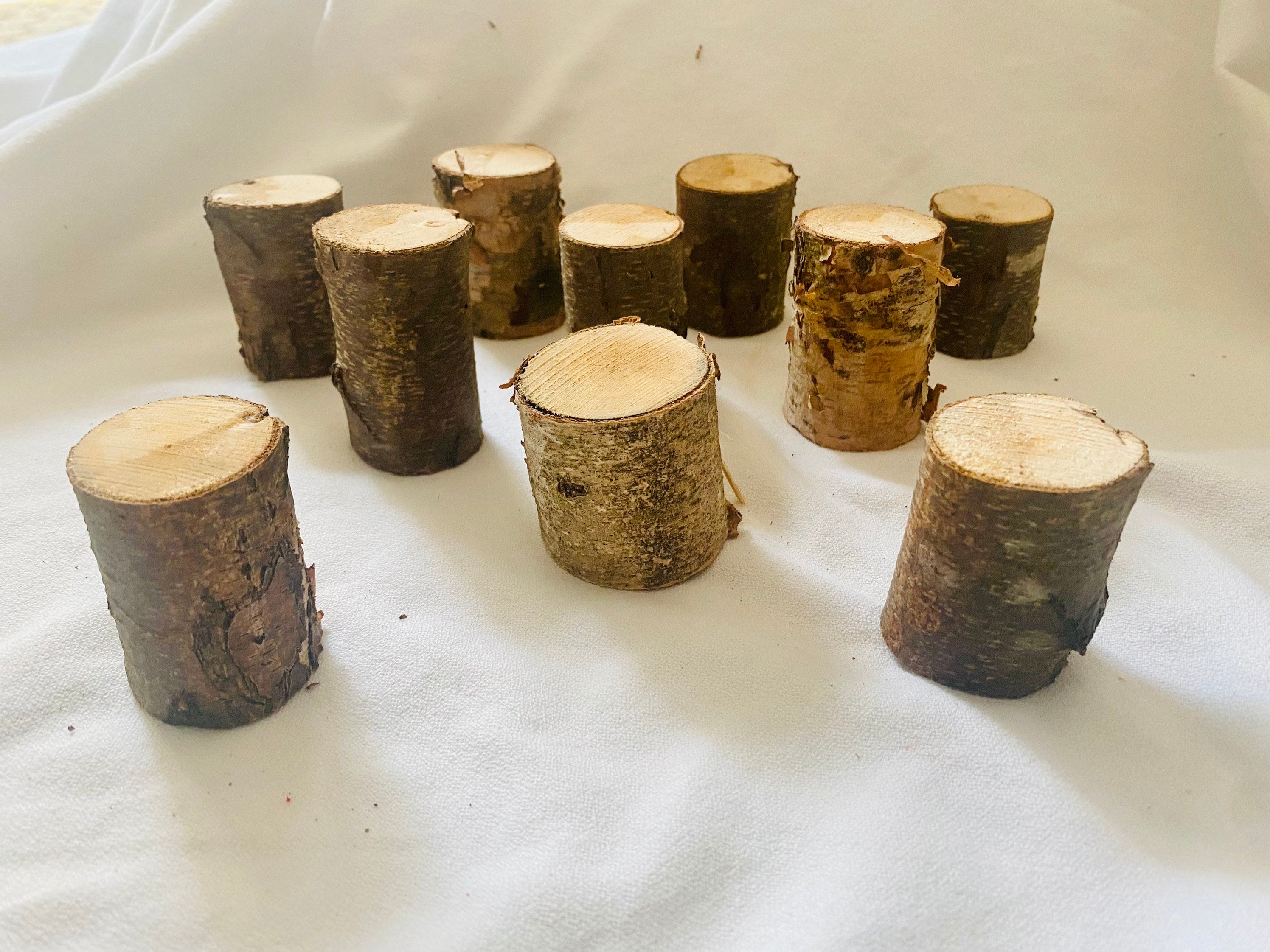 Birch Log Riser - Etsy