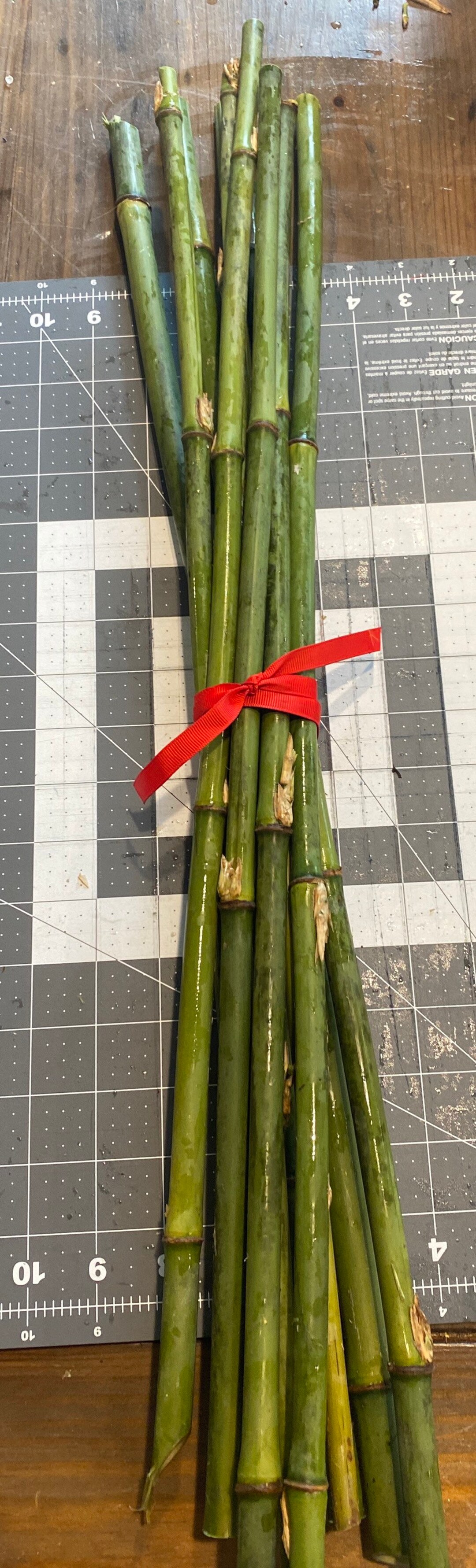 River Cane Bundle of 10 - Etsy