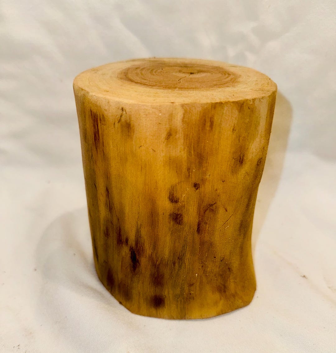 Black Walnut Wood Stump Walnut Tree Stump Debarked Terrarium/fairy ...