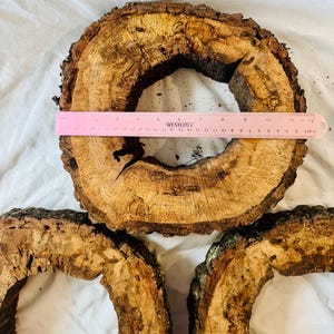 Set of 3 Large Oak Tree Slices- Live Edge -hollowed Hardwood Slices ...