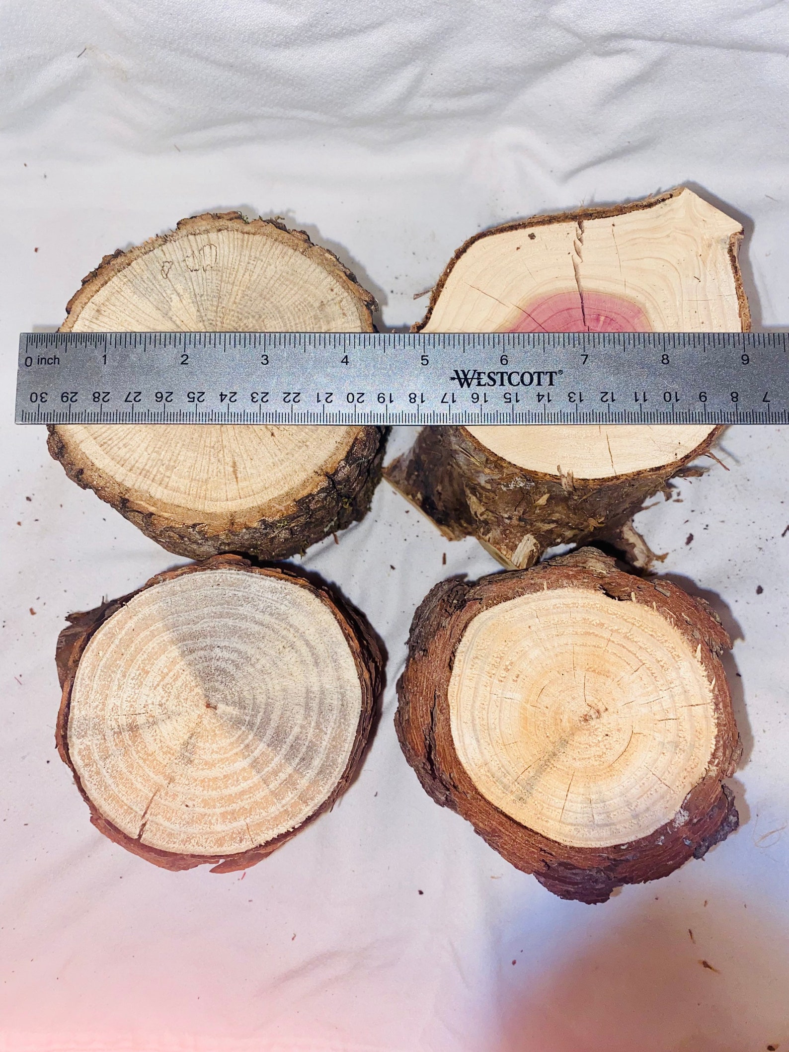 Live Edge Log Stumps Set of 5 Assorted Types Rustic Wood | Etsy