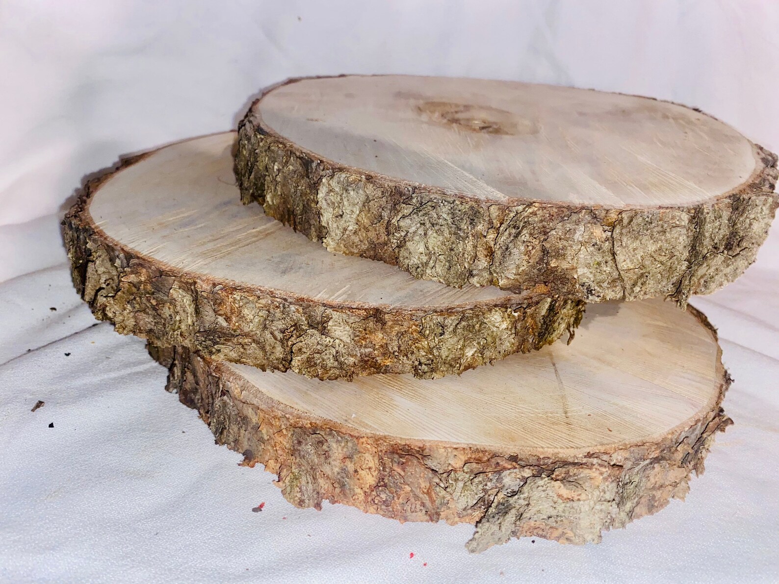 10 Birch Tree Slice Large Tree Slice Rustic Wood Cake - Etsy