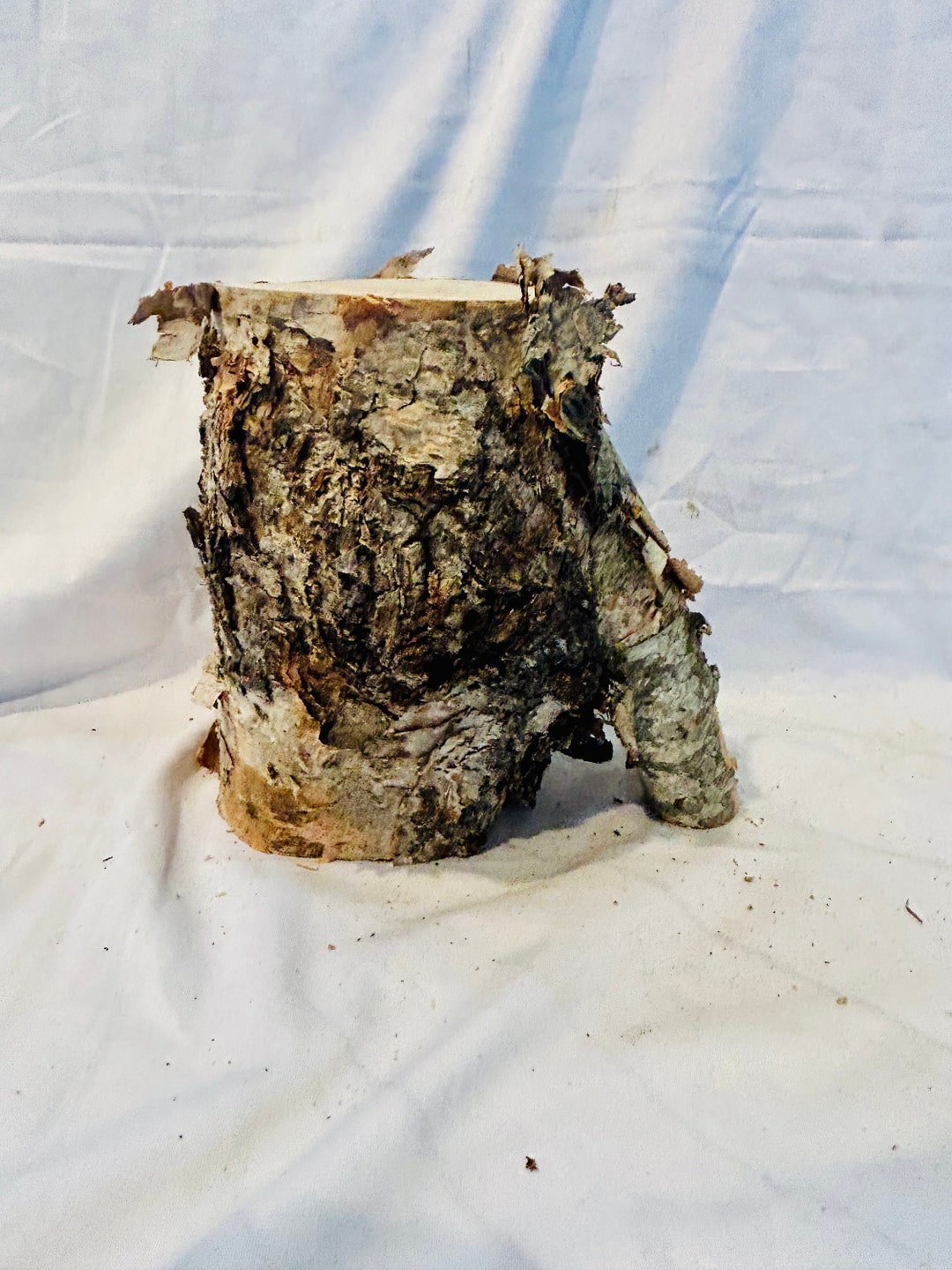 Rustic Birch Wood Stump Tree Stump Terrarium/fairy Garden Decor Unique ...