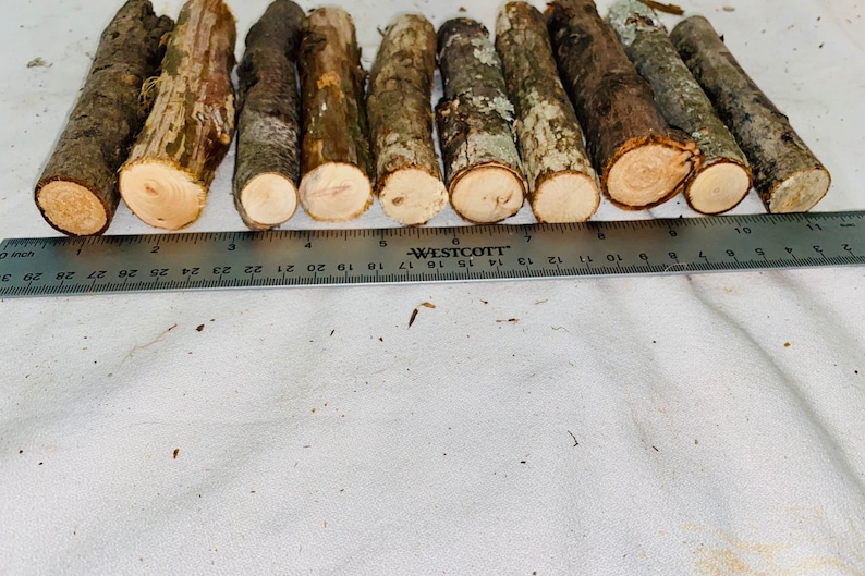 Small Wood Logs Set of 10 Assorted Mini Logs Wood - Etsy