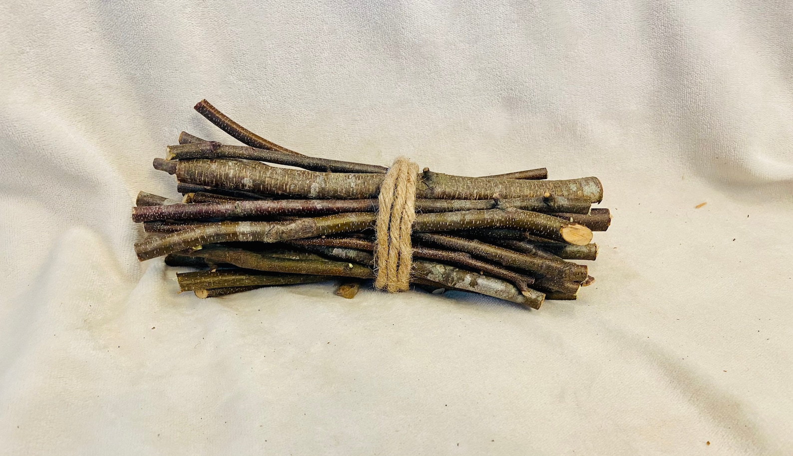 Fresh Birch Stick Bundle 25 Count - Etsy