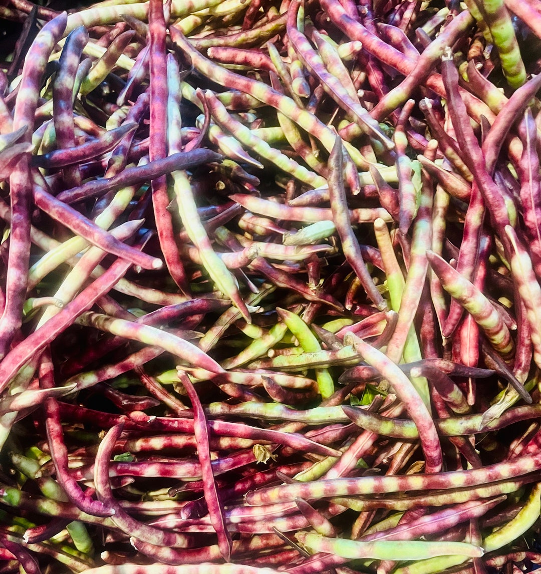 Purple Hull Pea Seeds (30+) - Etsy