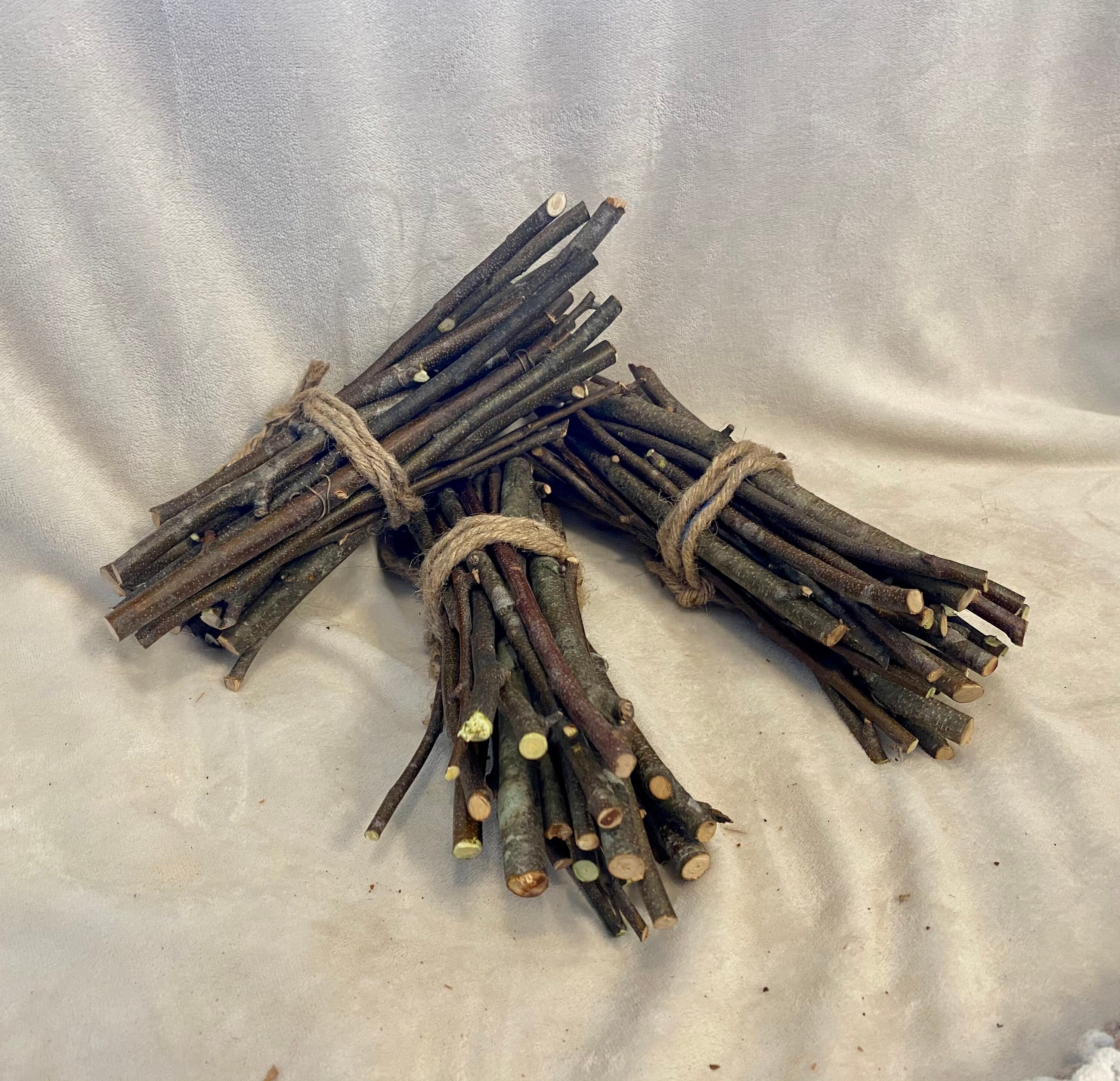 Fresh Birch Stick Bundle 25 Count - Etsy