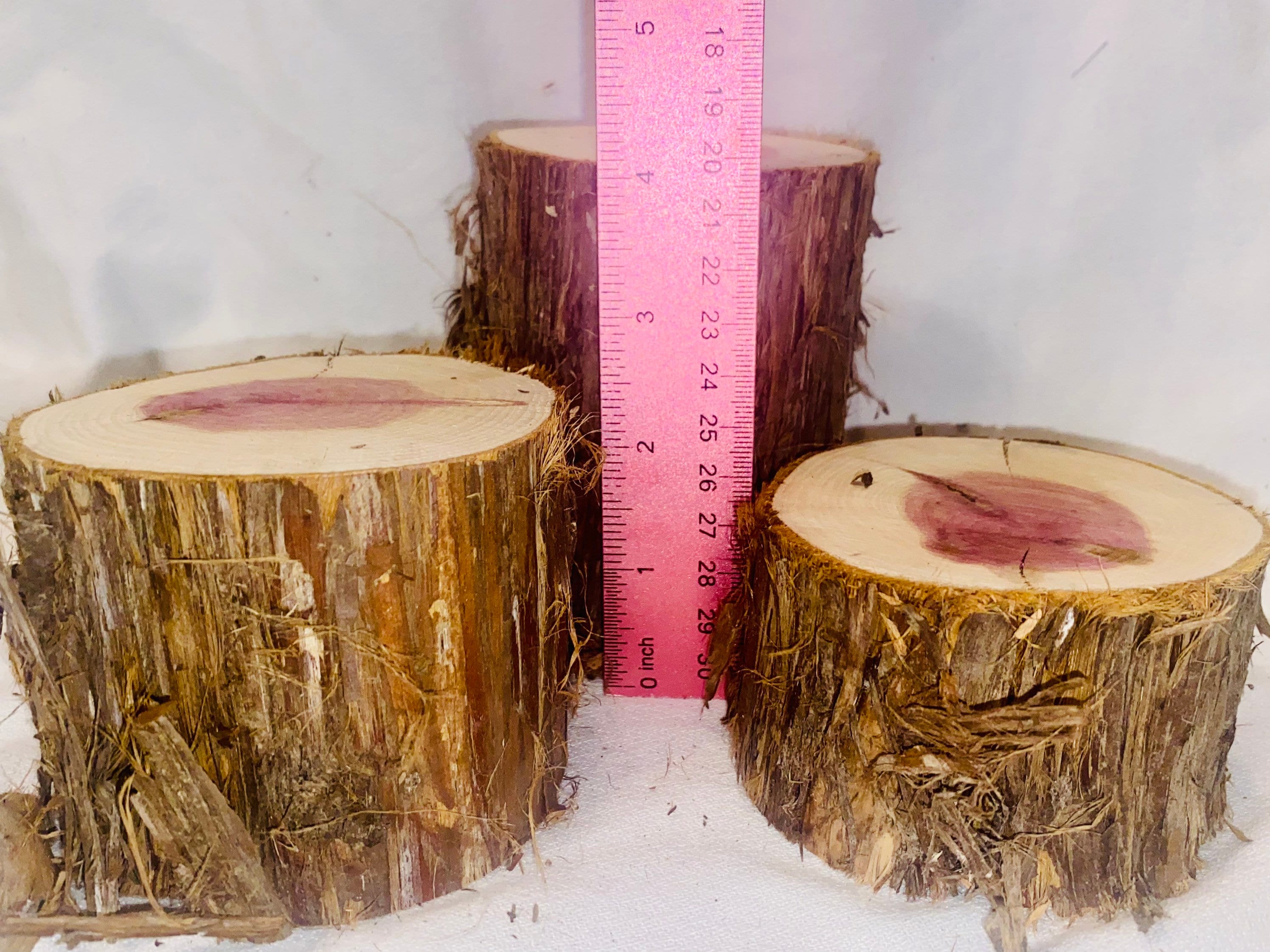 Rustic Cedar Stumps Set of 3 Live Edge Rustic Cedar Risers - Etsy