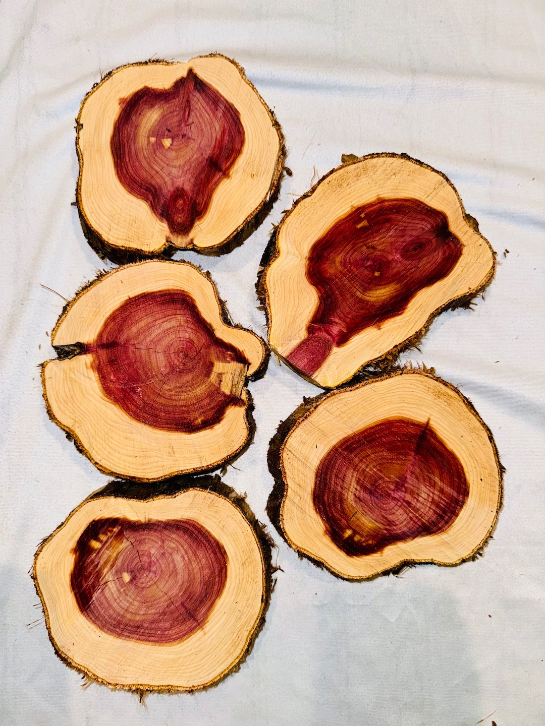 Natural Edge Cedar Slices - Unique Shape - Thick Cut- All Natural ...