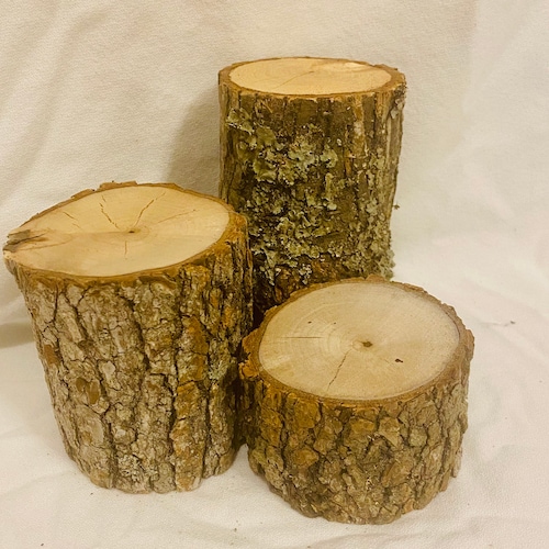 Rustic Wood Log Stumps Set of 3 With 3-4 Diameter Rustic - Etsy