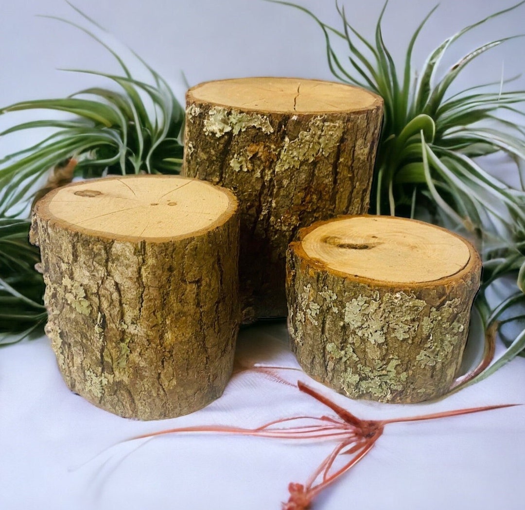 Rustic Wood Log Stumps - Set of 3 With 3-4” Diameter- Rustic Wood ...