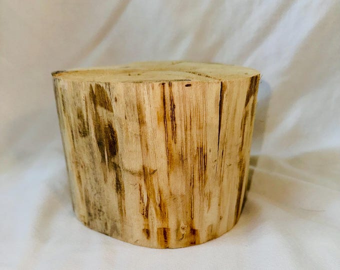 Rustic Wood Stump- Willow Tree Stump - Debarked - Terrarium/fairy ...