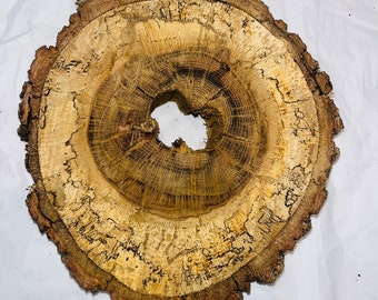 Live Edge Hollow Rustic Solid Oak Log - Etsy