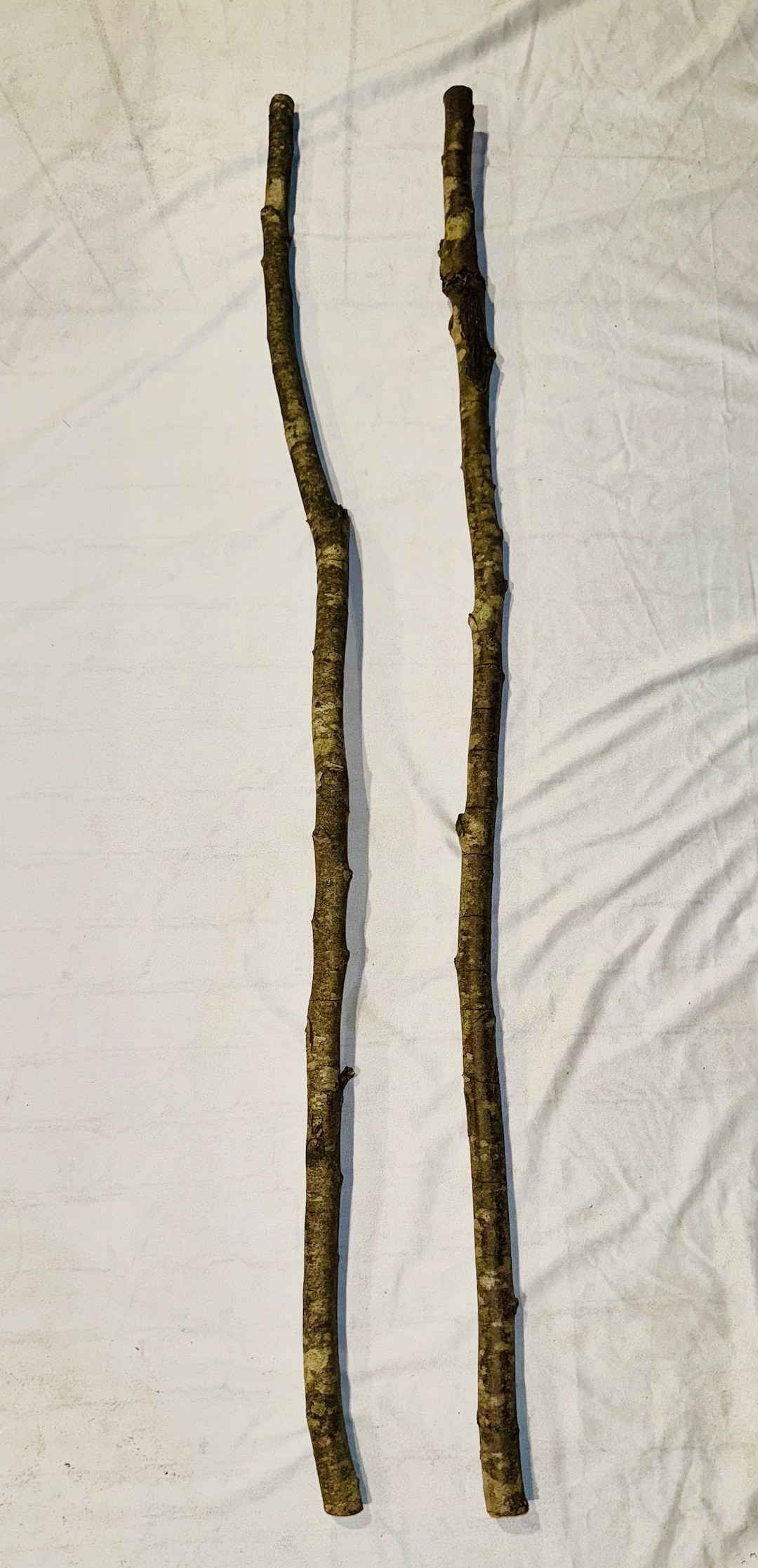 Long Birch Limbs- Set of 2 - Birch Wand- 50” Long - All Natural Craft ...