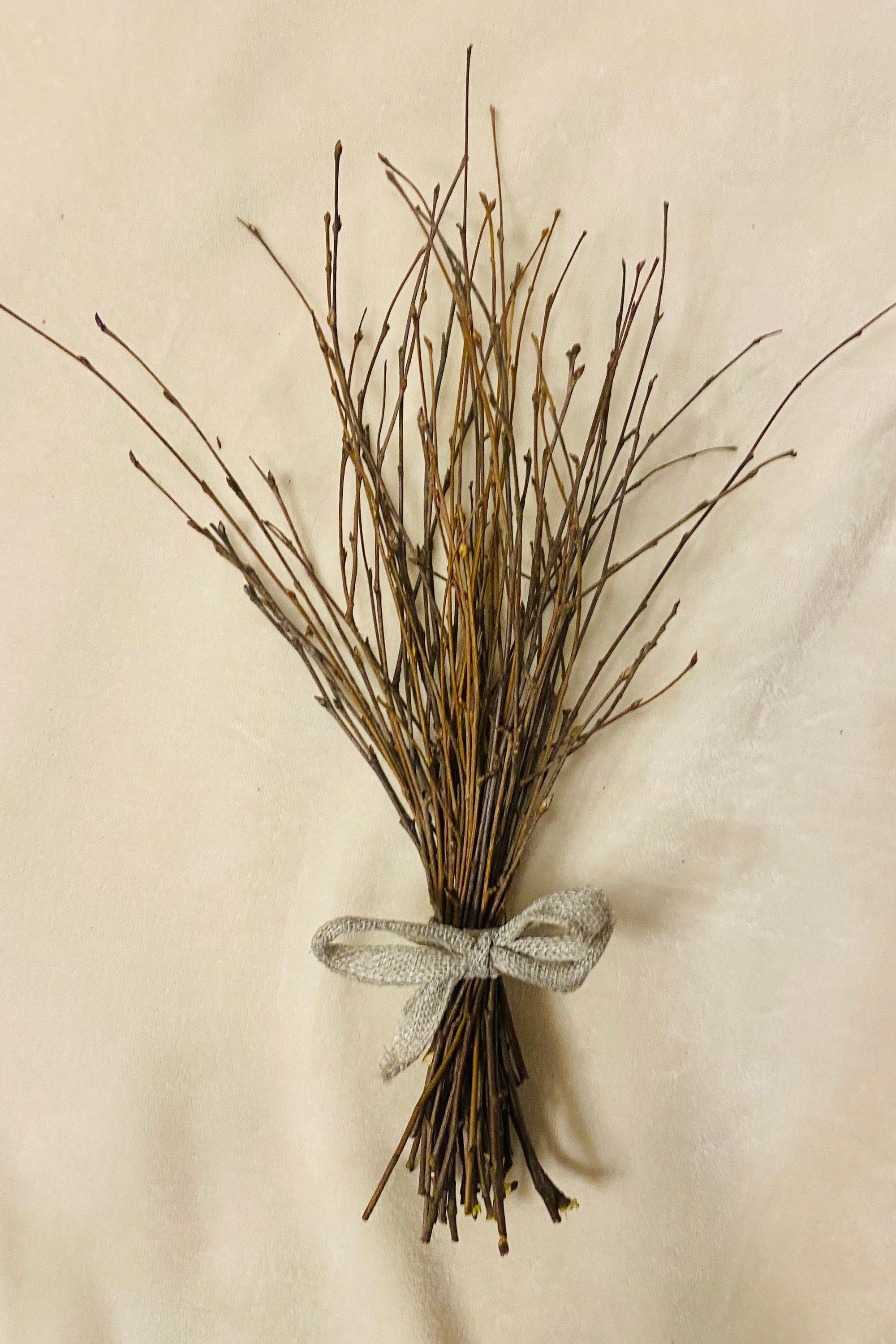Bundle of Natural Thin Birch Twigs 10 12 Long 50 Twigs - Etsy Ireland