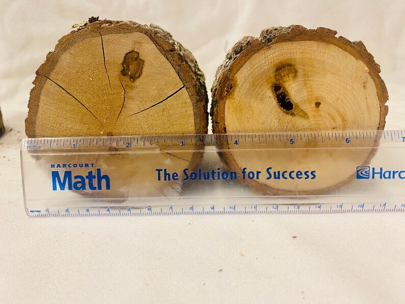 Rustic Wood Log Stumps Set of 3 With 3-4 Diameter Rustic - Etsy