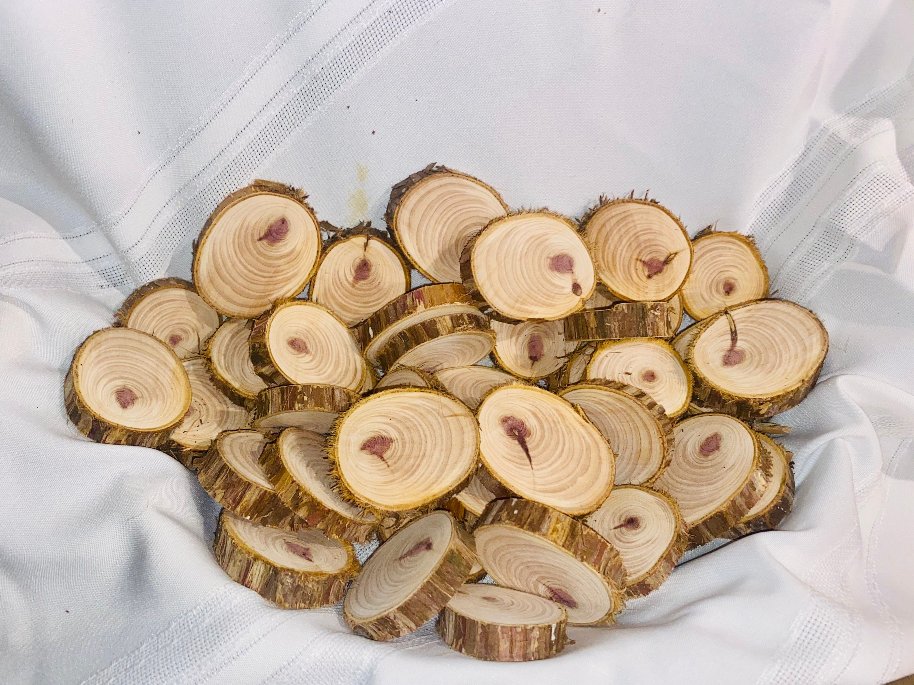 Natural Edge Cedar Craft Rounds Small 1 1/2 Diameter - Etsy