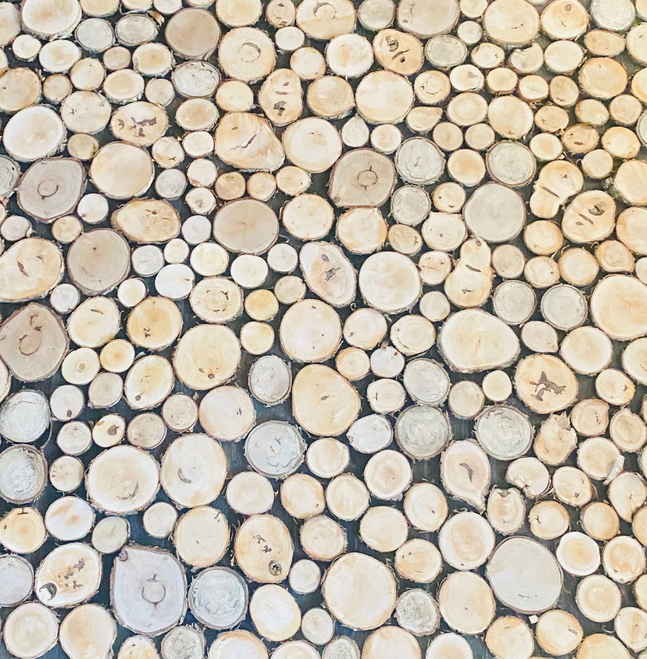 Birch Slices Birch Rounds Birch Disc 100 Pieces - Etsy