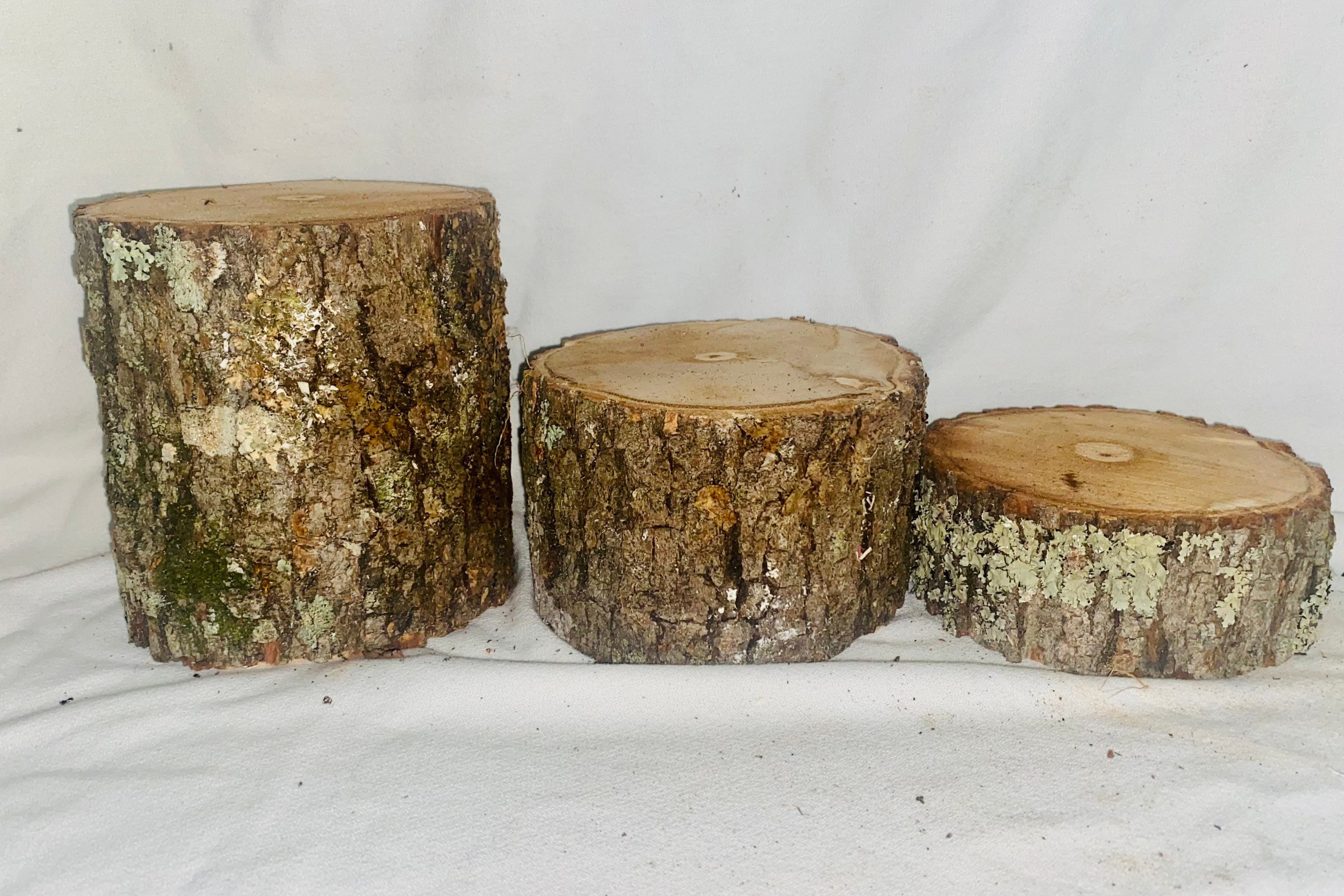 Rustic Wood Log Stumps: Set of 3, Natural Bark Decor - Etsy